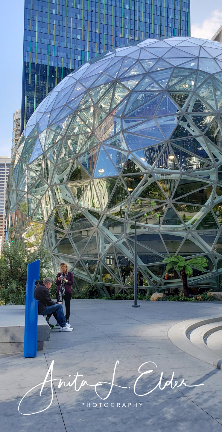 Amazon Spheres - My Adventure Stories and Photos