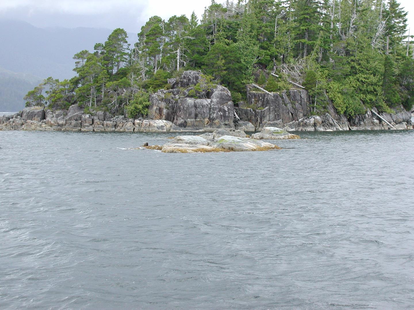 Onboard The MV Uchuck - My Adventure Stories and Photos
