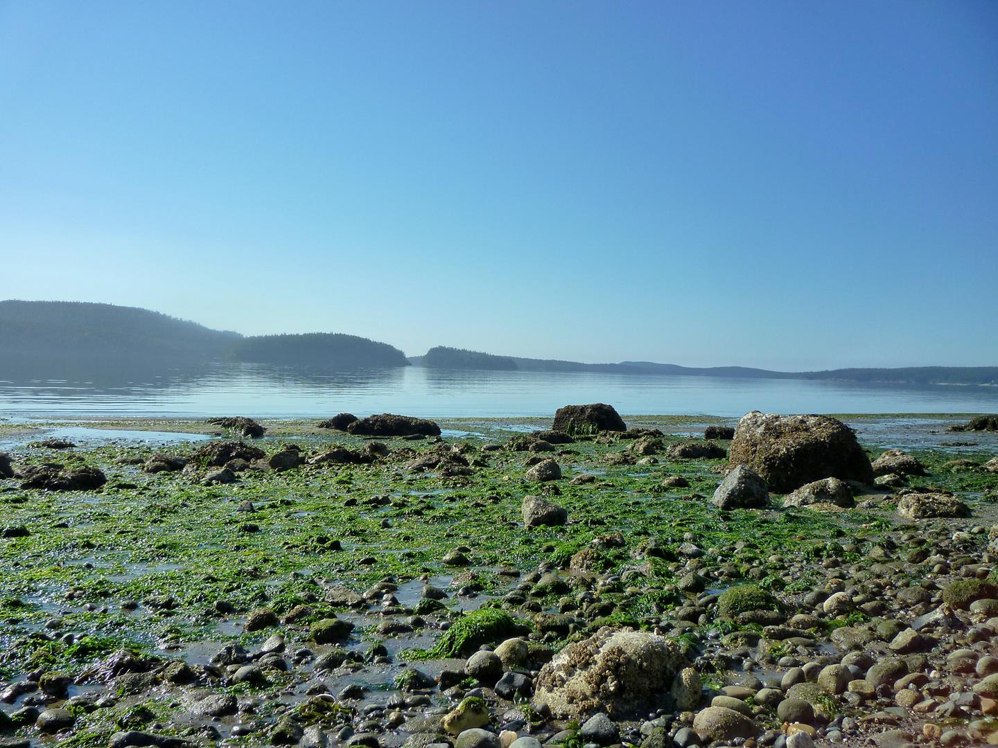 Camping on Lopez Island - My Adventure Stories and Photos